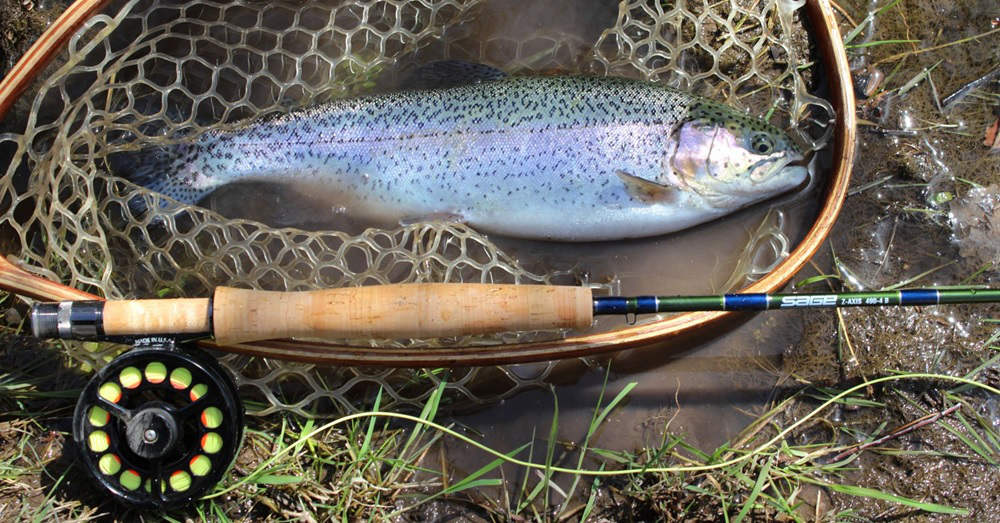 Reasons To Build & Fish With A Custom Rod – CRB Products